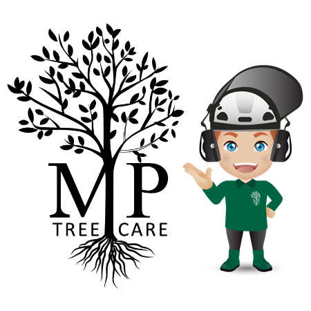 MP Tree Care, Warrington - 01925 292054 | Tree Surgeons, Low Rates